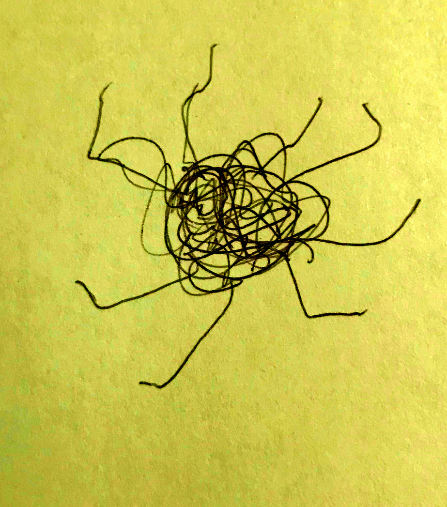 The Lucid Spider | The Lucid Spider